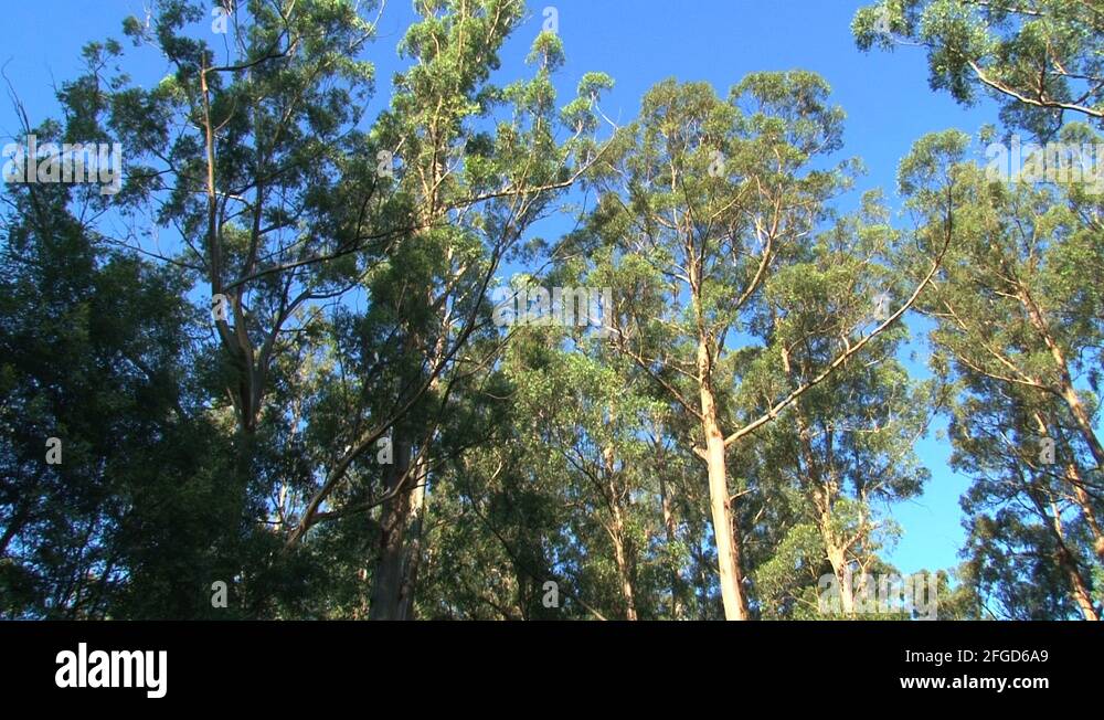 Round view Stock Videos & Footage - HD and 4K Video Clips - Alamy