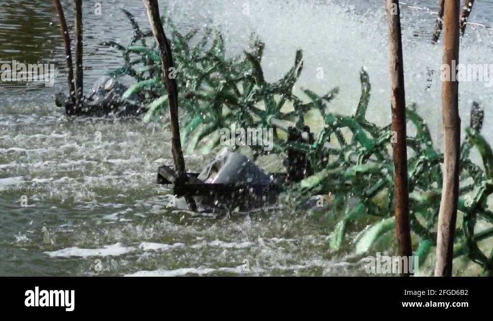 Water power plant fish Stock Videos & Footage - HD and 4K Video Clips ...