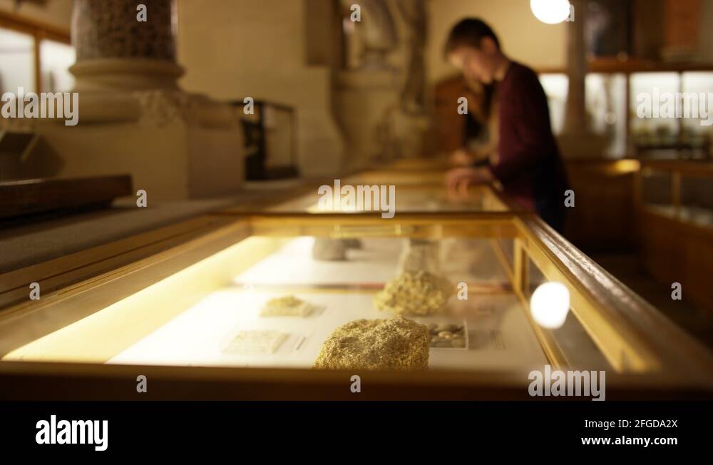 Nature display case Stock Videos & Footage - HD and 4K Video Clips - Alamy