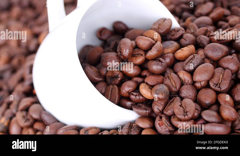 Bean cap Stock Videos & Footage - HD and 4K Video Clips - Alamy