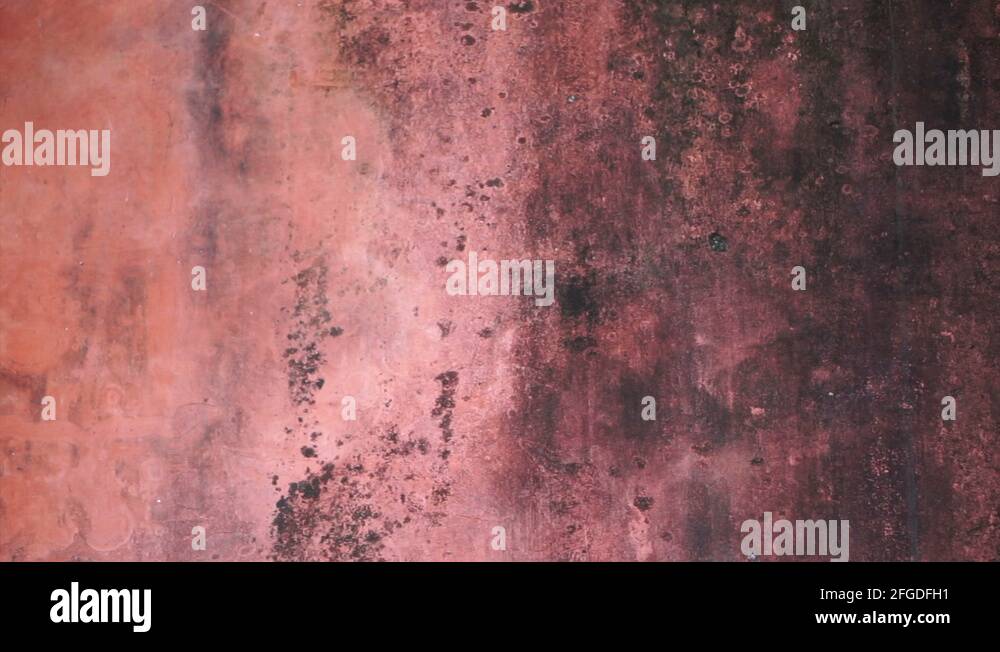 Mold background Stock Videos & Footage - HD and 4K Video Clips - Alamy