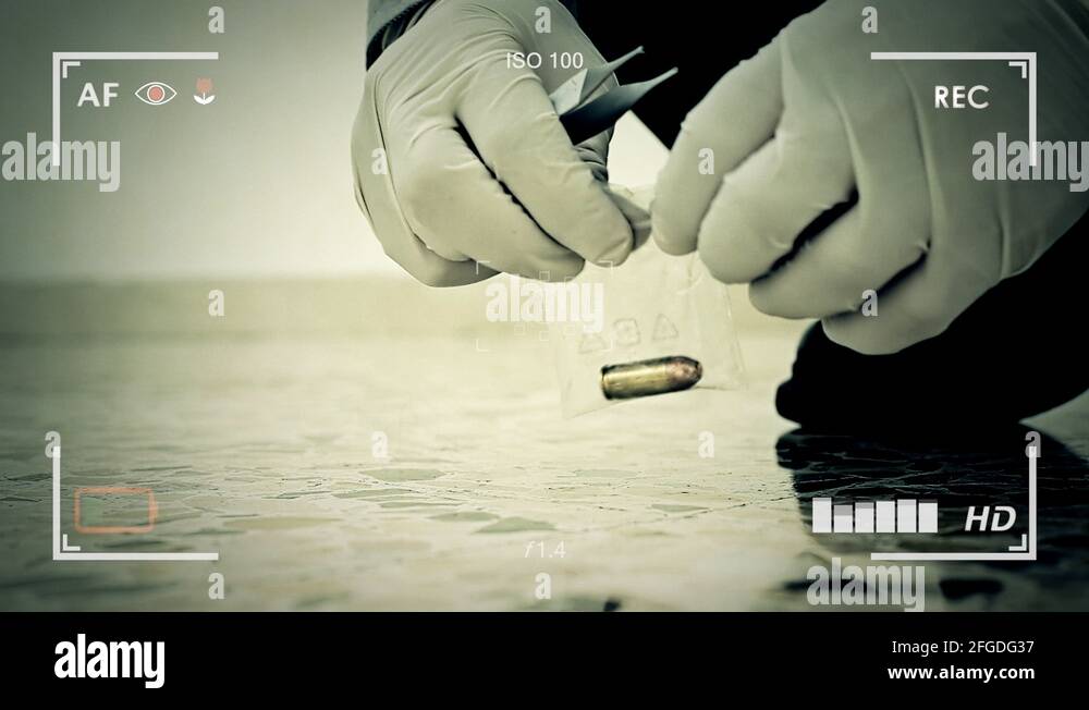 Crime scene recording Stock Videos & Footage - HD and 4K Video Clips ...