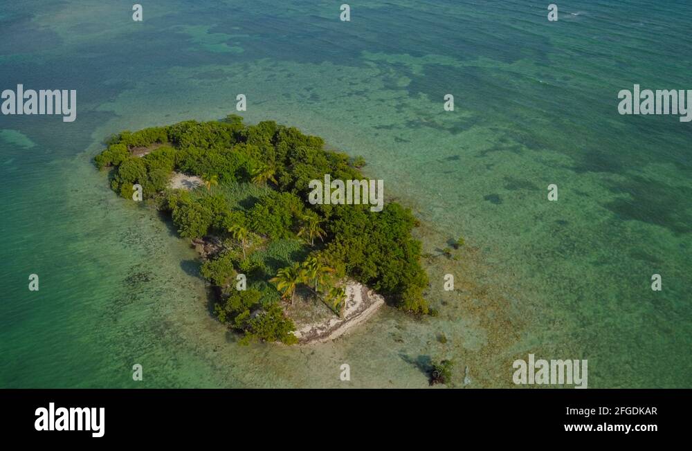 Overseas money Stock Videos & Footage - HD and 4K Video Clips - Alamy