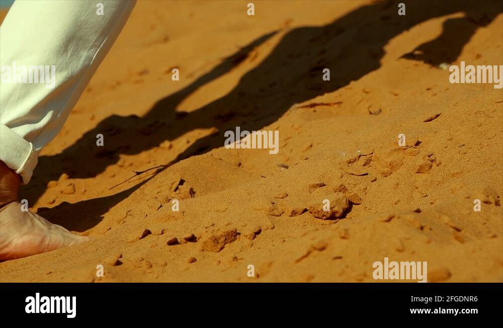 Camera shorts Stock Videos & Footage - HD and 4K Video Clips - Alamy