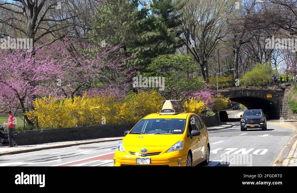Transverse road Stock Videos & Footage - HD and 4K Video Clips - Alamy