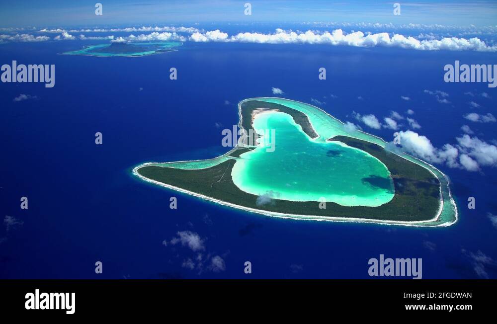 Tupai bora bora Stock Videos & Footage - HD and 4K Video Clips - Alamy