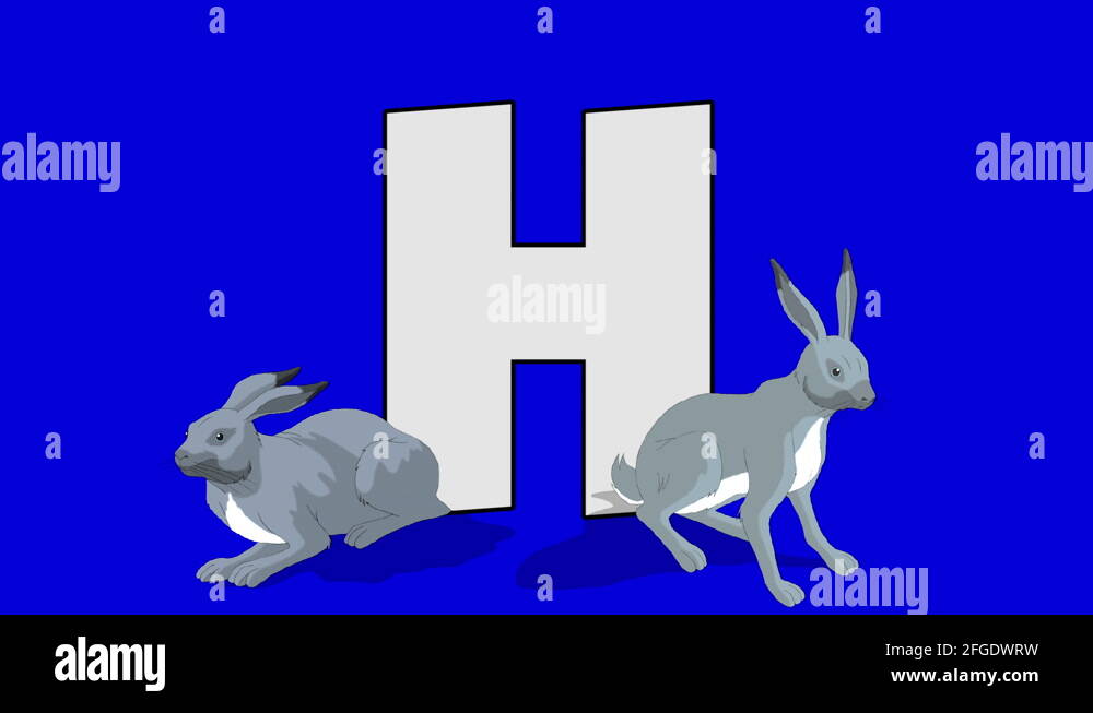 Hare sign Stock Videos & Footage - HD and 4K Video Clips - Alamy