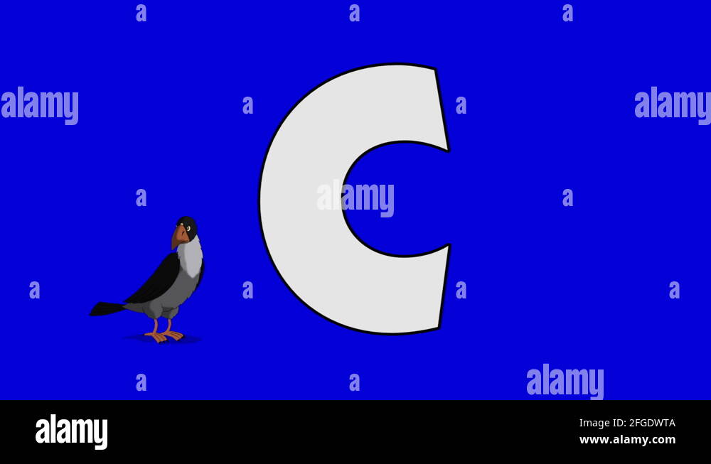 Crow type Stock Videos & Footage - HD and 4K Video Clips - Alamy