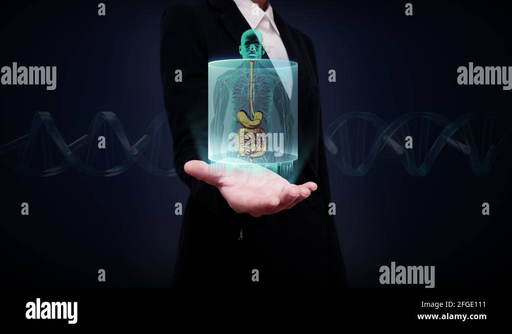 Businesswoman open palm, Zooming Human the internal organs, Digestion ...