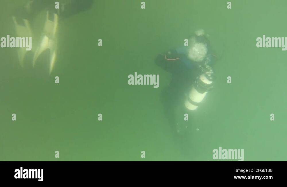 Diver in river Stock Videos & Footage - HD and 4K Video Clips - Alamy