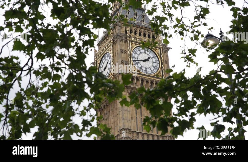 Canopy tower Stock Videos & Footage - HD and 4K Video Clips - Alamy