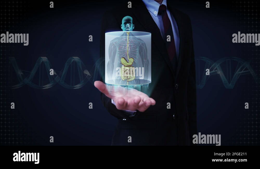 Human internal organs illustration Stock Videos & Footage - HD and 4K ...