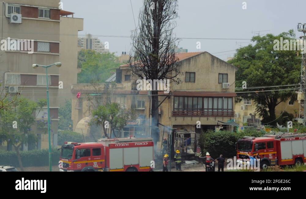 Burning cypress tree in blazing flames at the backyard of a house Stock ...