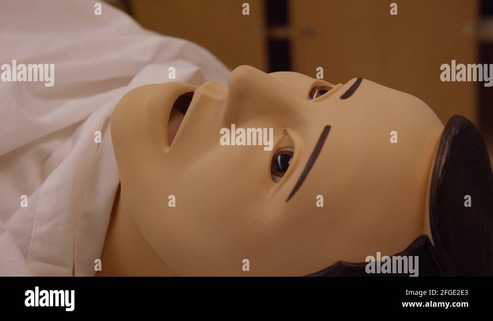 Student with resuscitation doll Stock Videos & Footage - HD and 4K ...