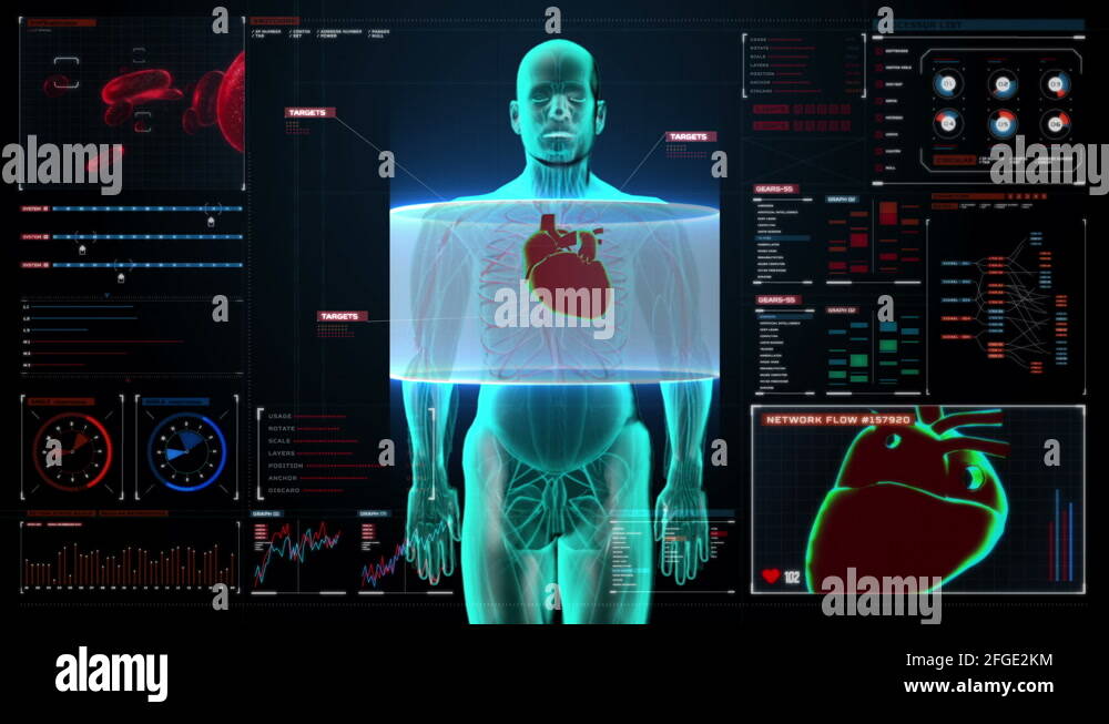 Zooming front body and scanning heart. cardiovascular in digital ...