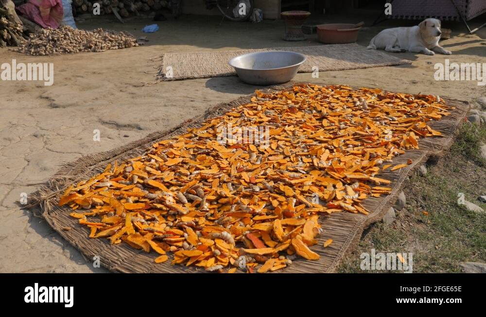 Vegetables drying Stock Videos & Footage - HD and 4K Video Clips - Alamy
