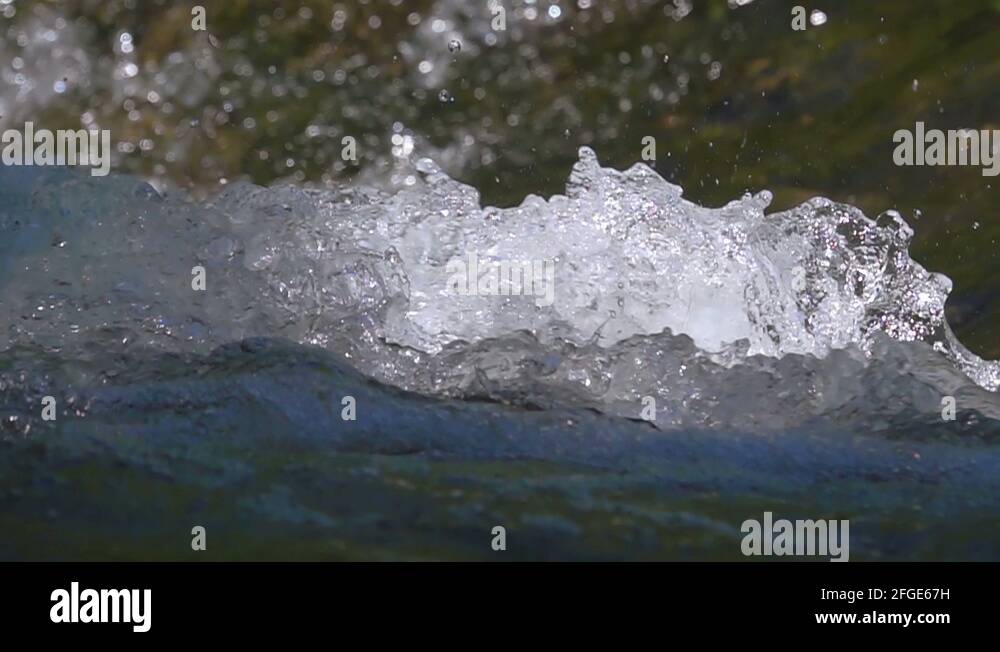 Tropicalriver Stock Videos & Footage - HD and 4K Video Clips - Alamy