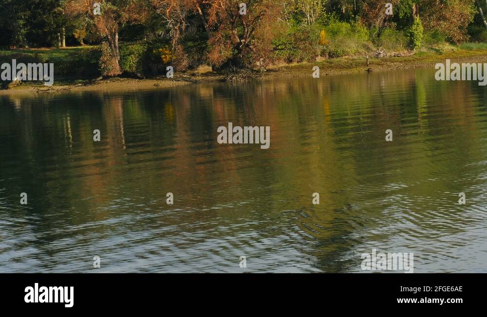 Eight man boat Stock Videos & Footage - HD and 4K Video Clips - Alamy