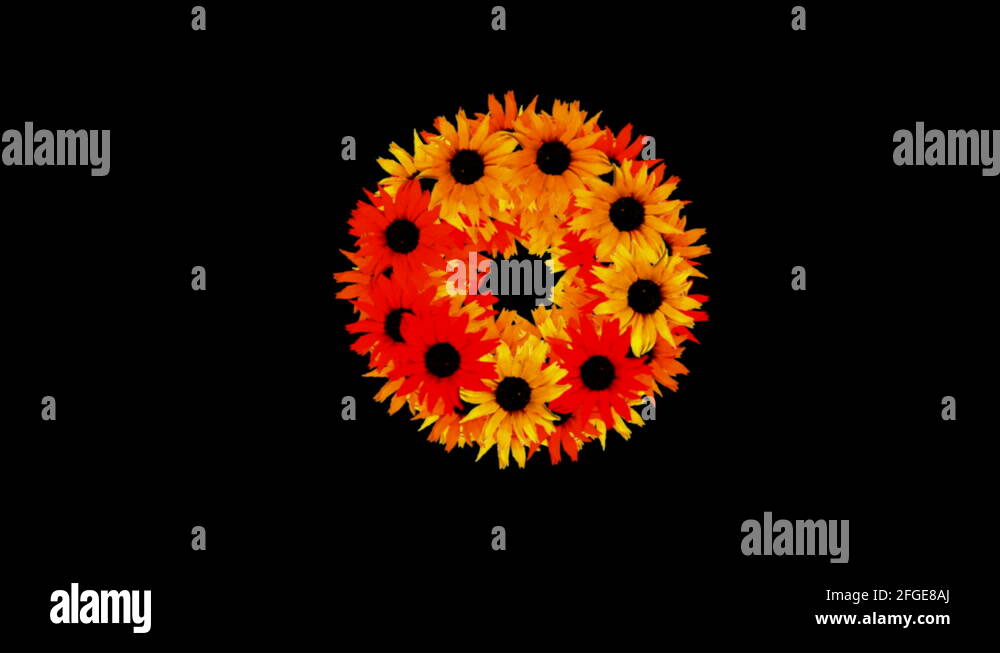 sunflower wreath as wedding background,disco neon flower pattern Stock ...