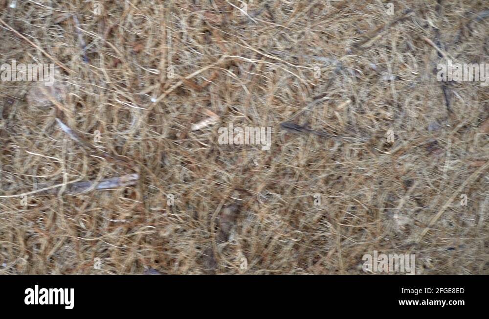 Matt texture Stock Videos & Footage - HD and 4K Video Clips - Alamy