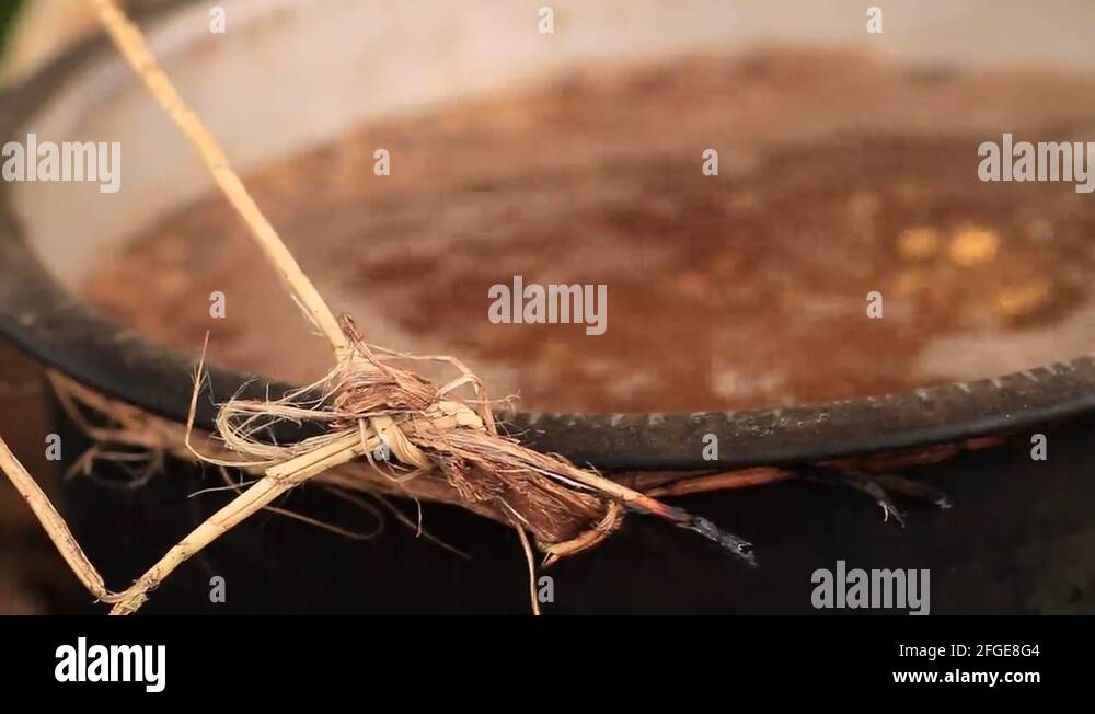 Pot boiling water Stock Videos & Footage - HD and 4K Video Clips - Alamy