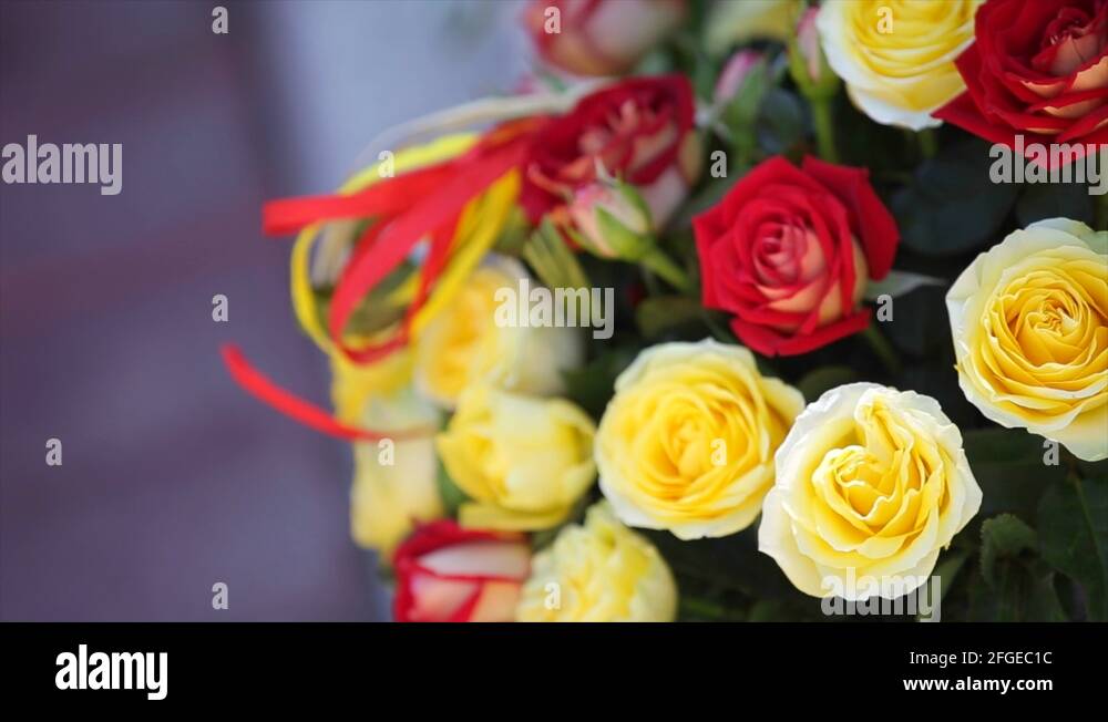 Five leaf roses Stock Videos & Footage - HD and 4K Video Clips - Alamy