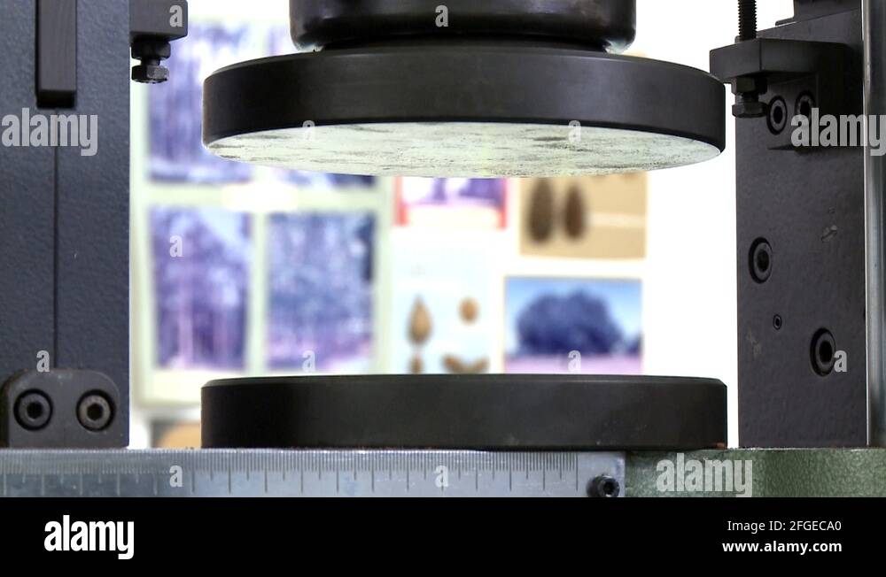 Automatic music machine Stock Videos & Footage - HD and 4K Video Clips ...