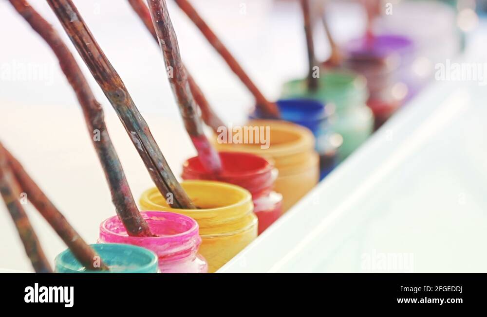 Real branches Stock Videos & Footage - HD and 4K Video Clips - Alamy