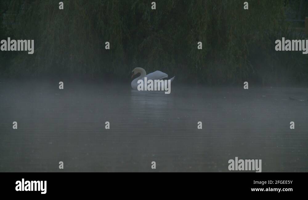 Dusk Stock Videos & Footage - HD and 4K Video Clips - Alamy