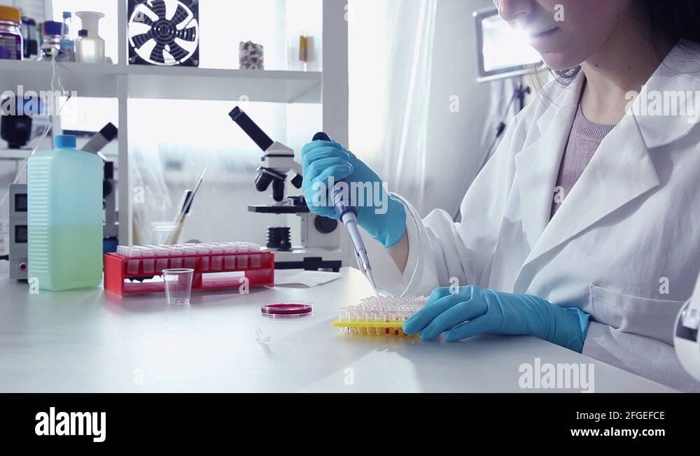Biological technician Stock Videos & Footage - HD and 4K Video Clips ...