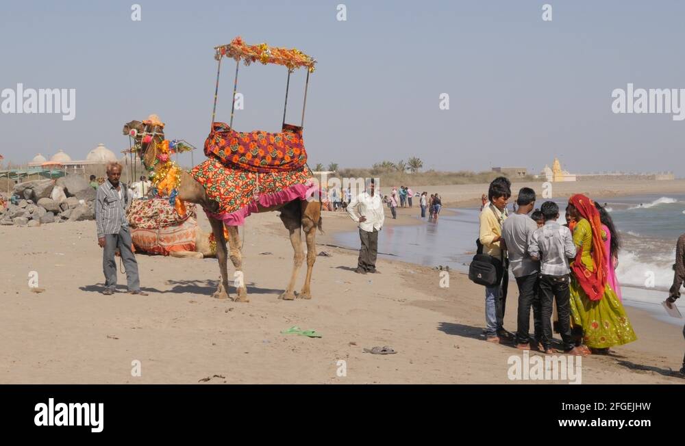 Somnath beach Stock Videos & Footage - HD and 4K Video Clips - Alamy