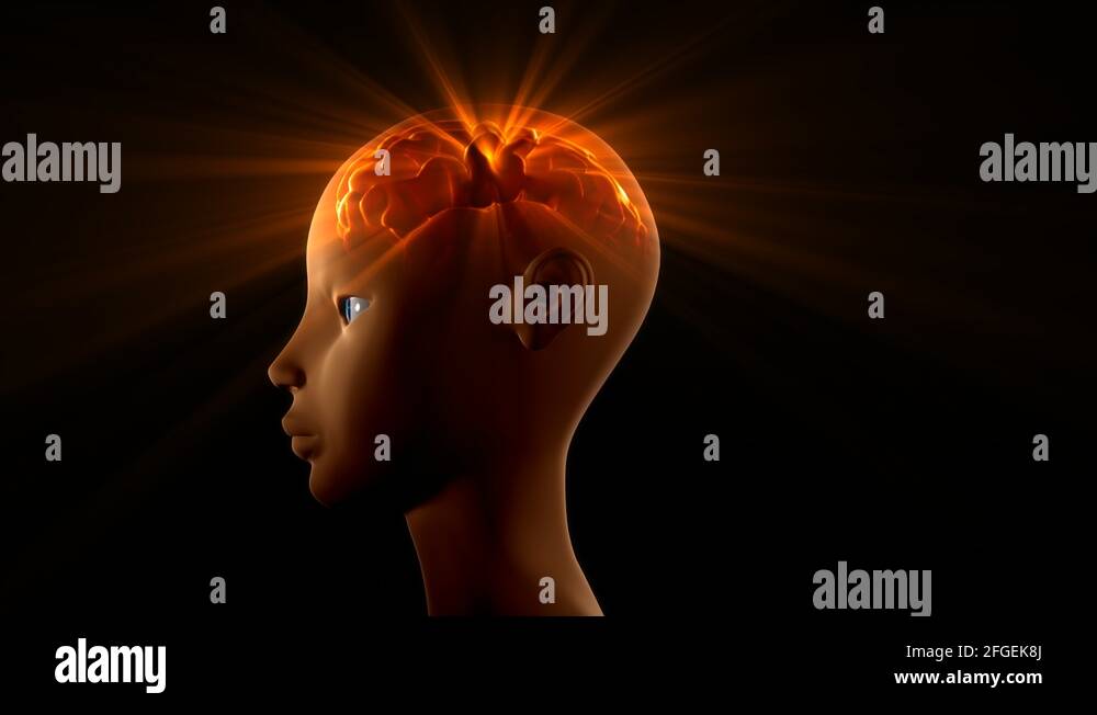 Cg rotating human brain scan animation Stock Video Footage - Alamy