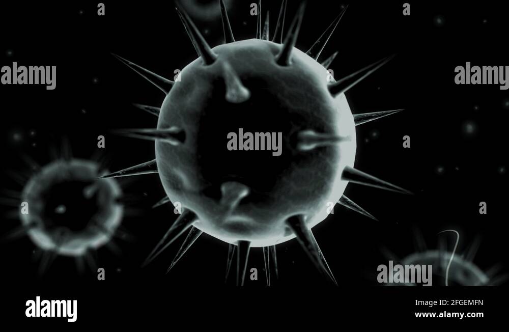 Bacillus subtilis Stock Videos & Footage - HD and 4K Video Clips - Alamy