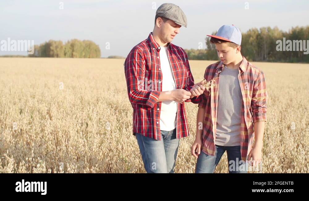 Continuity generations Stock Videos & Footage - HD and 4K Video Clips ...