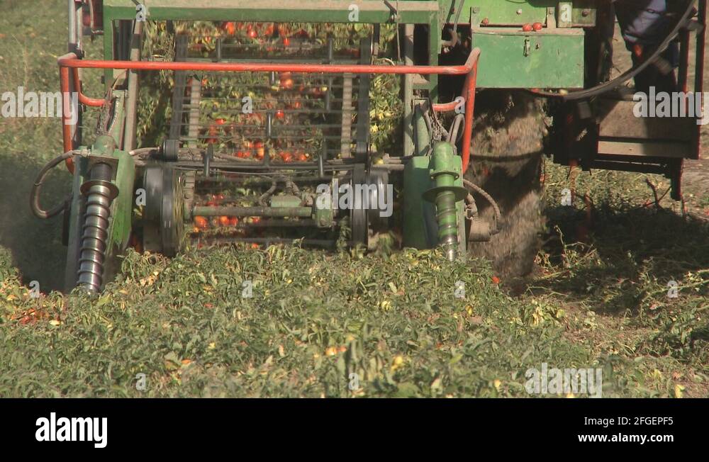 Mechanical tomato harvester Stock Videos & Footage - HD and 4K Video ...