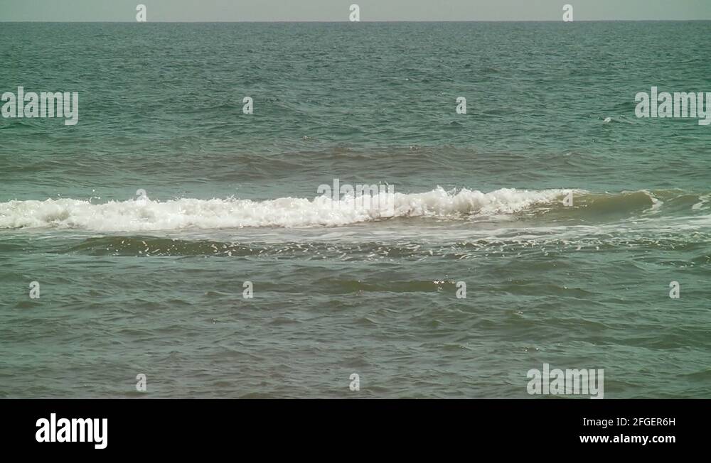 Dolphin dorsal fin Stock Videos & Footage - HD and 4K Video Clips - Alamy