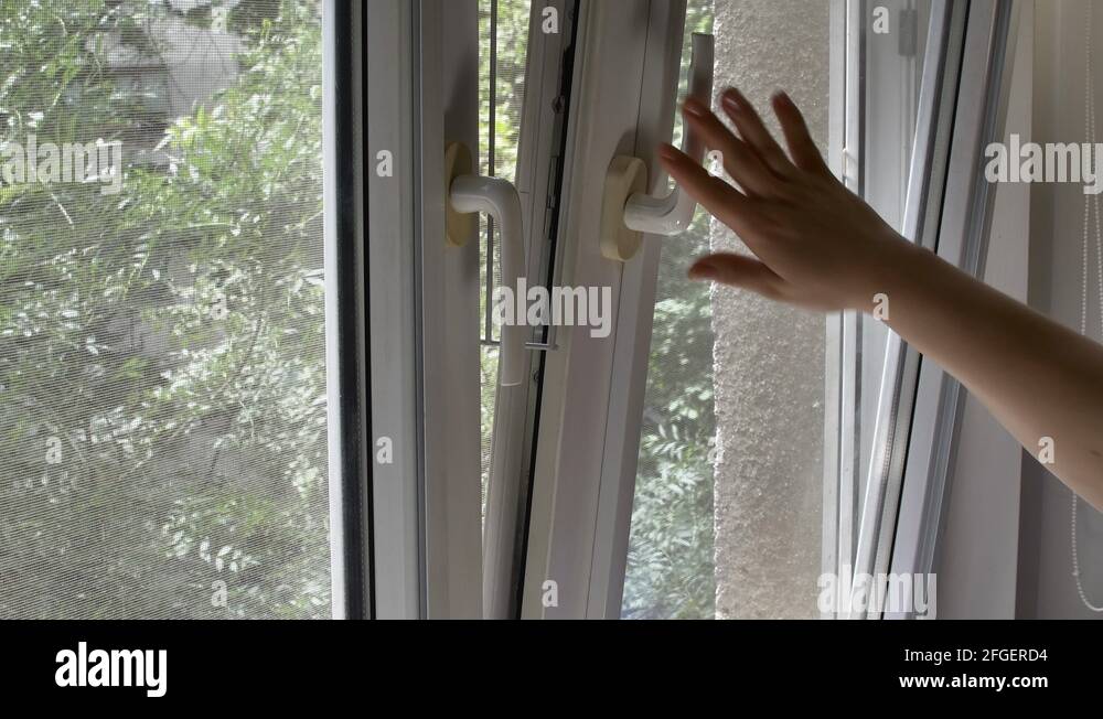 Window nets Stock Videos & Footage - HD and 4K Video Clips - Alamy