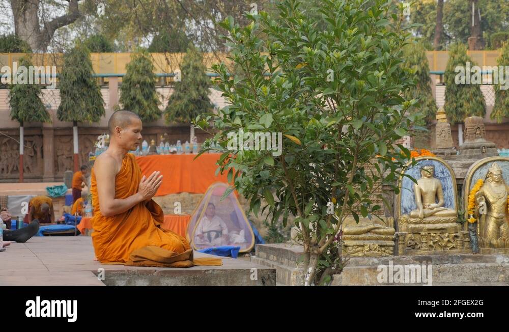 Buddhist monk praying mahabodhi temple Stock Videos & Footage - HD and ...