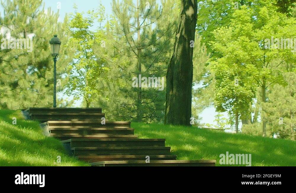 Forest steps stairway stairs Stock Videos & Footage - HD and 4K Video ...