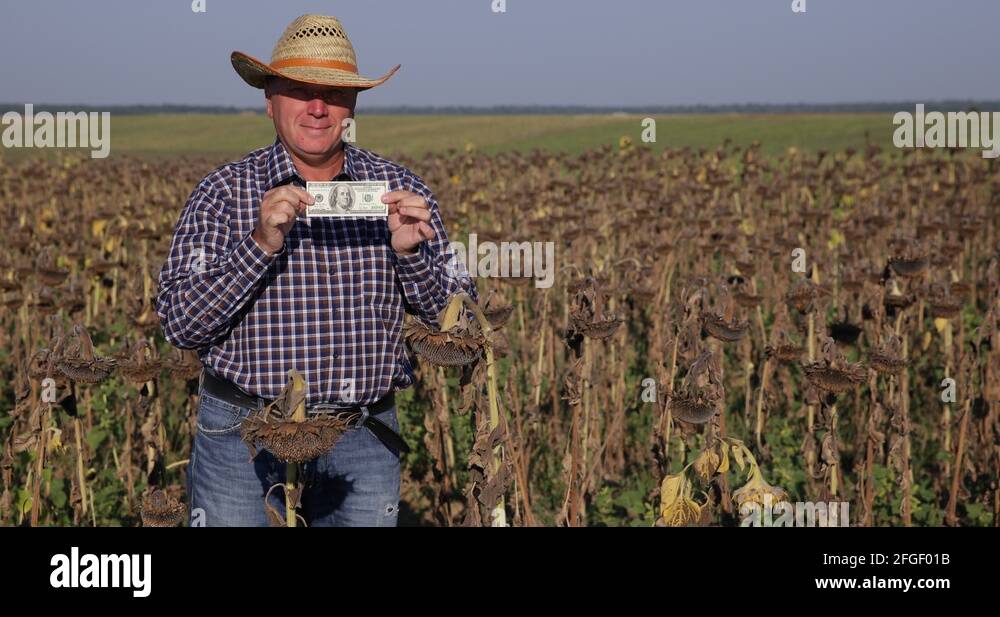 Wealthy peasant Stock Videos & Footage - HD and 4K Video Clips - Alamy