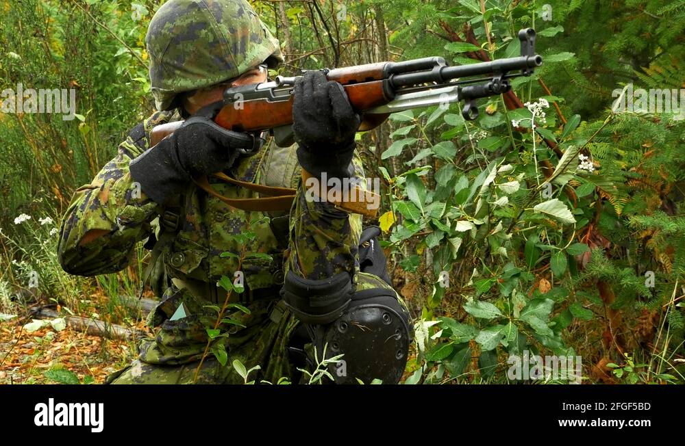 Army soldier military uniform weapon rifle Stock Videos & Footage - HD ...