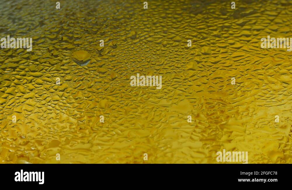 Condensation on glass Stock Videos & Footage - HD and 4K Video Clips ...