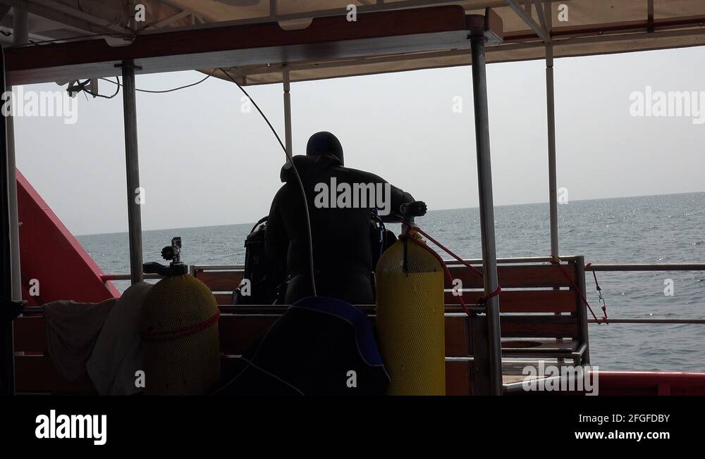 Scuba research Stock Videos & Footage - HD and 4K Video Clips - Alamy