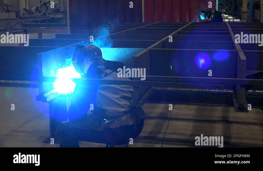 Plant framework Stock Videos & Footage - HD and 4K Video Clips - Alamy