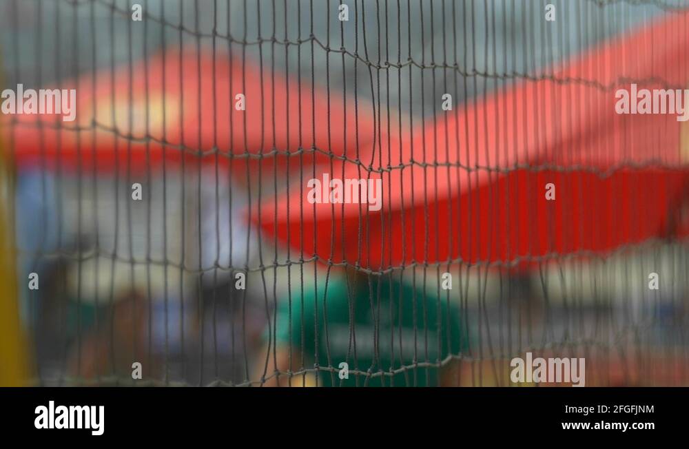 Volleyball fivb women's Stock Videos & Footage - HD and 4K Video Clips ...