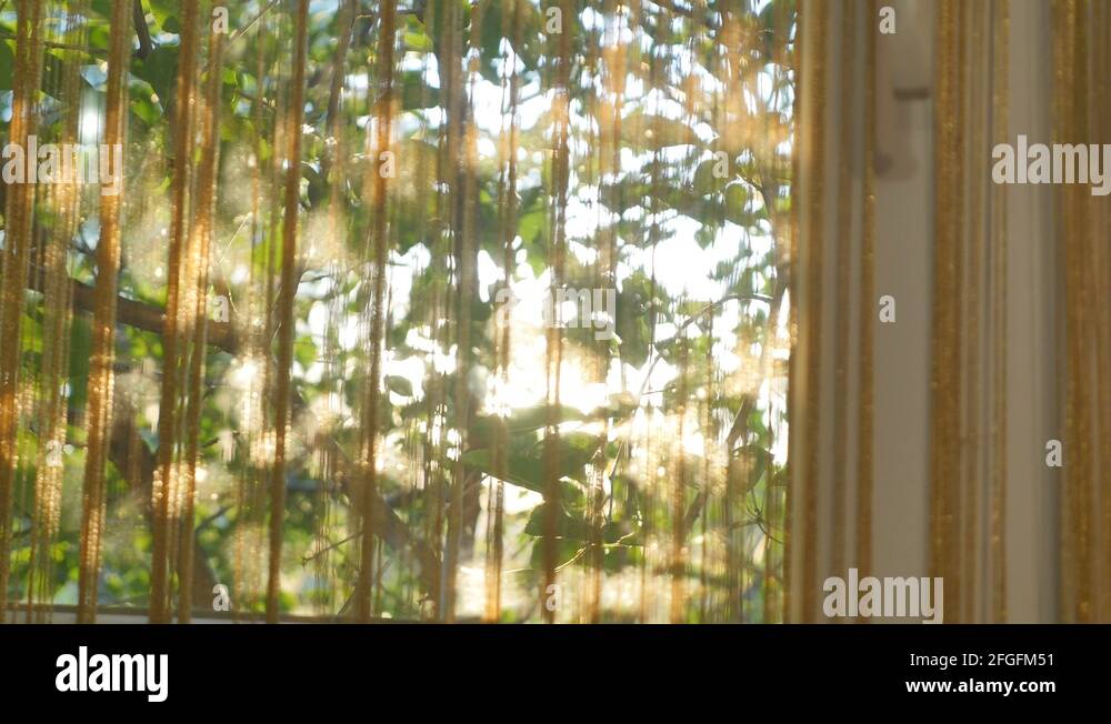 Sunlight through net curtain Stock Videos & Footage - HD and 4K Video ...