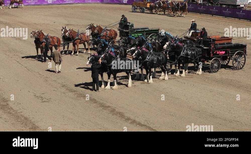 Teamwork competition farming Stock Videos & Footage - HD and 4K Video ...
