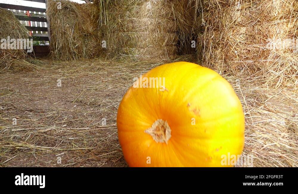 Traditional hayloft Stock Videos & Footage - HD and 4K Video Clips - Alamy
