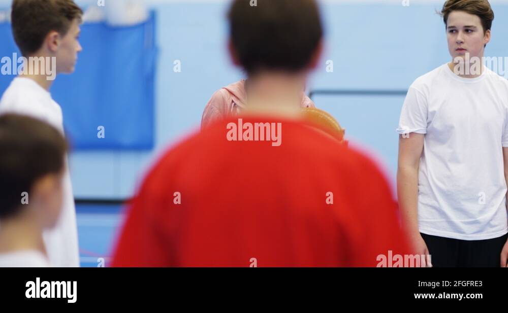 Happy pupils playing gym ball gym class Stock Videos & Footage - HD and ...