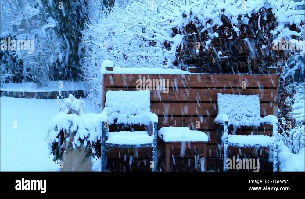 Garden texture Stock Videos & Footage - HD and 4K Video Clips - Alamy